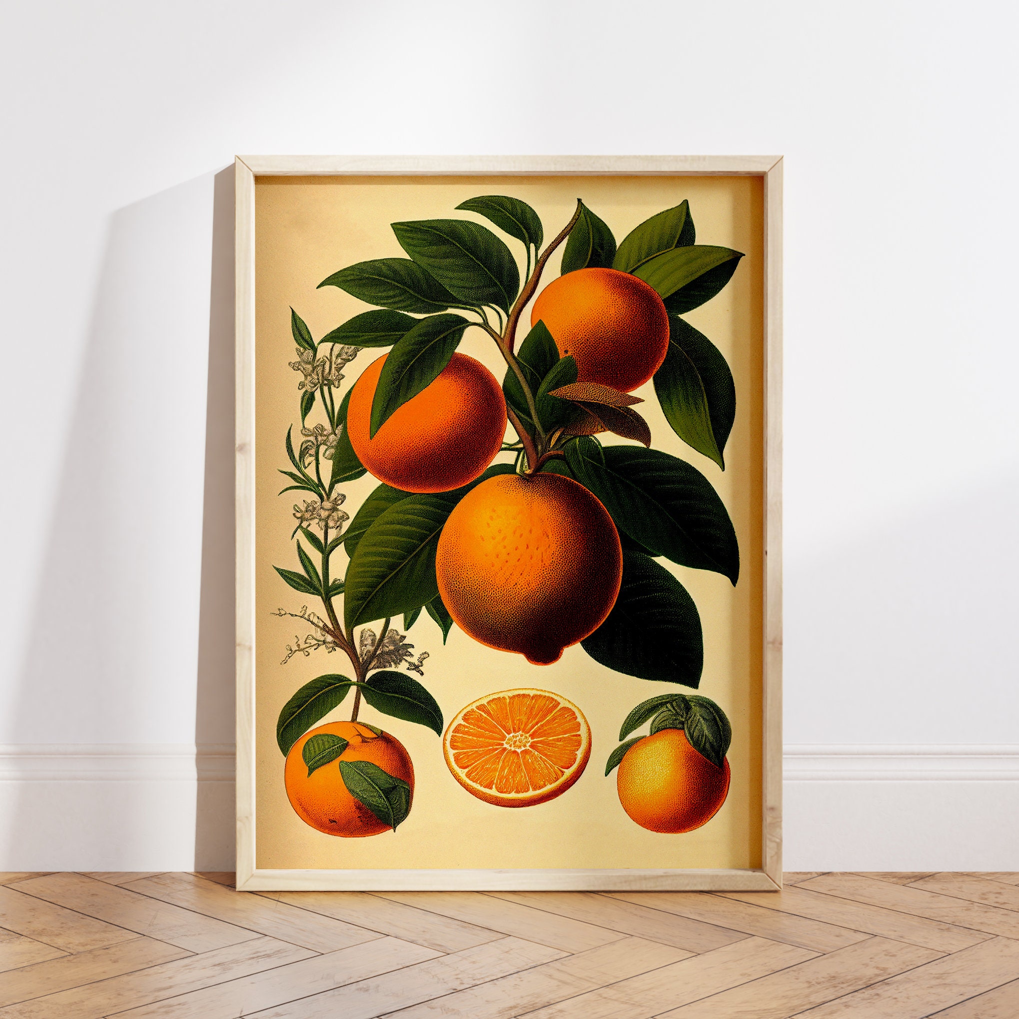 Orange • Art Print • Digital Download • Naranja, Laranja • Vintage ...