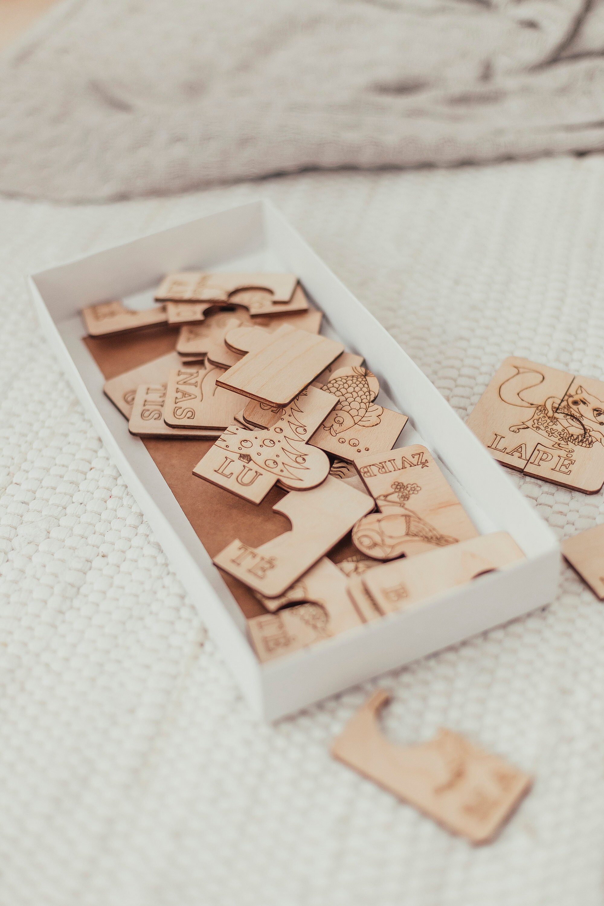 Picture Puzzle Game - Etsy