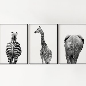 Animal Bums- Bathroom Print Set of 3, Black and White Animal Bum Set ...