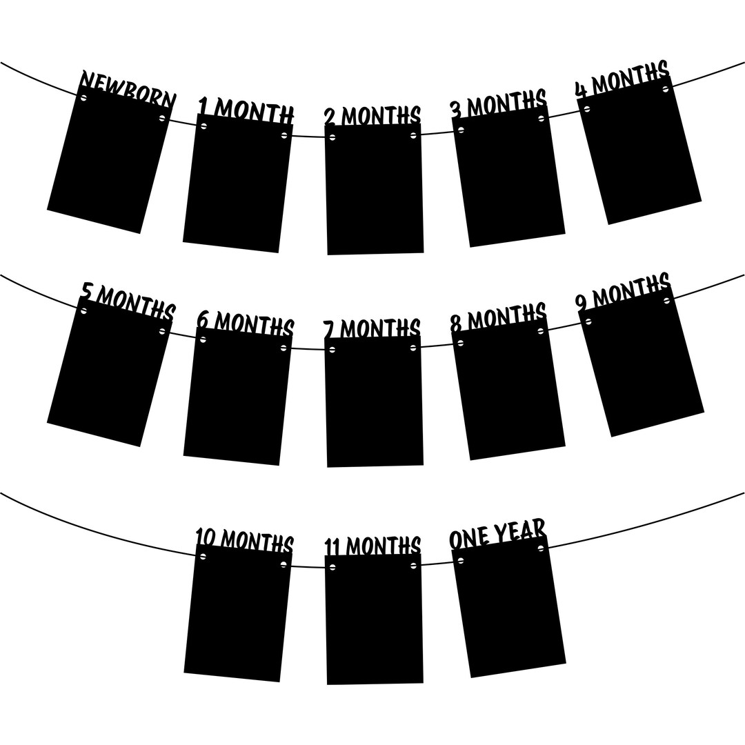 Monthly Photo Banner Svg, Vector, Png, Instant Download - Etsy