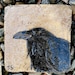 Raven Ceramic Tile | Etsy
