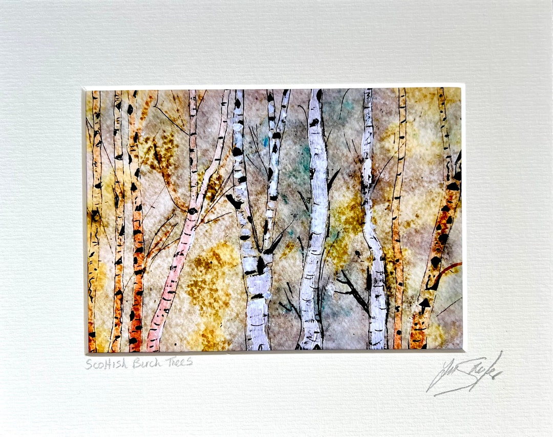 Scottish Birch Wood Print - Etsy