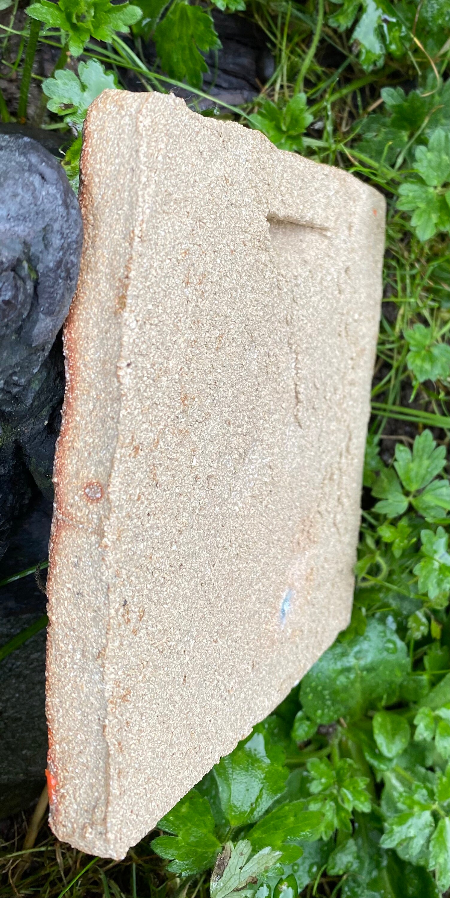 Raven Ceramic Tile - Etsy