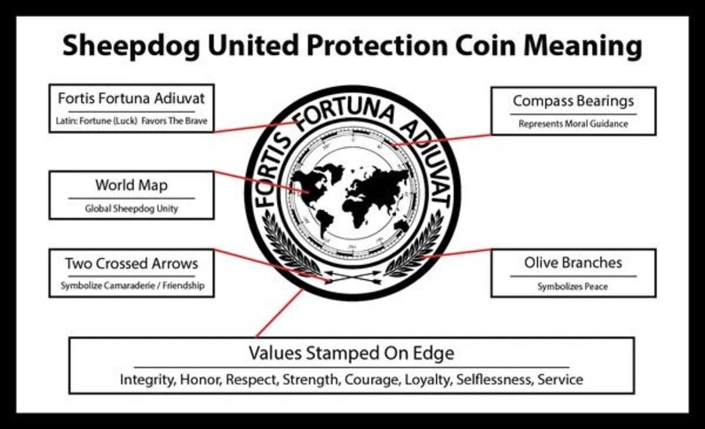 Protection Coin Silver Challenge Coin for Police Fire and Military ...