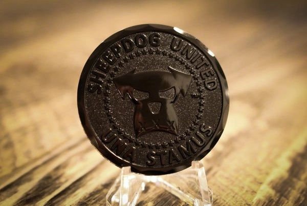 Protection Coin Stealth Challenge Coin for Police Fire and Military ...