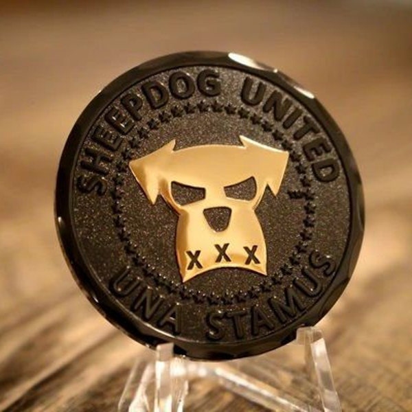 Protection Coin - Etsy