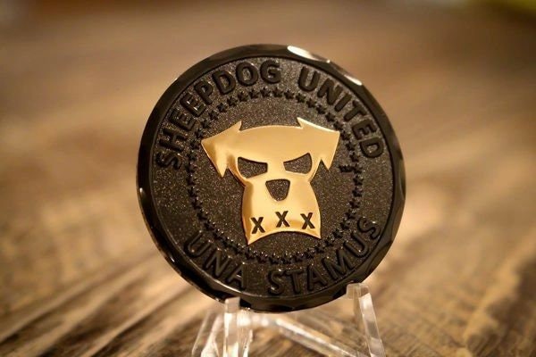 Protection Coin Gold Challenge Coin for Police Fire and Military First ...