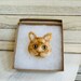 Needle Felted Cat Pin. Needle Felt Cat Brooch. Orange Cat. - Etsy