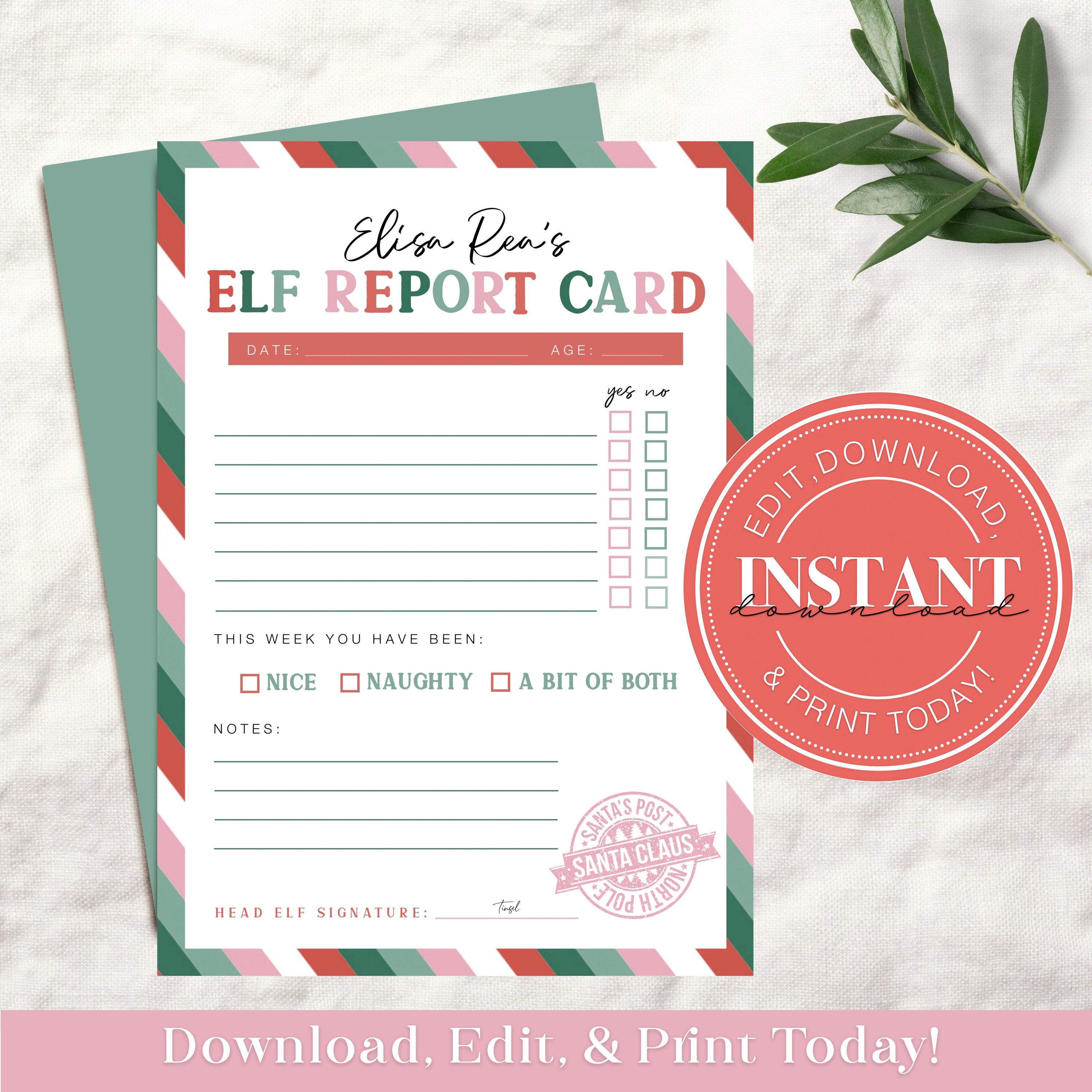 Editable Elf Report Card Santa Approved Elf Report Instant - Etsy