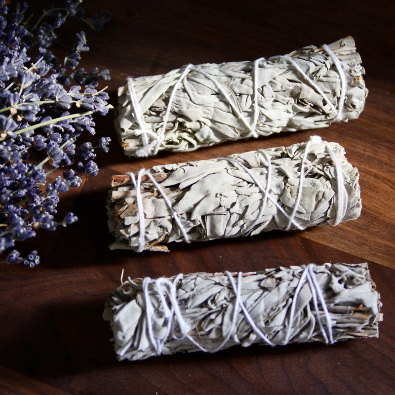 Sage Bundle - Etsy