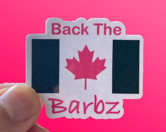 Nicki Minaj Flag | Etsy Canada