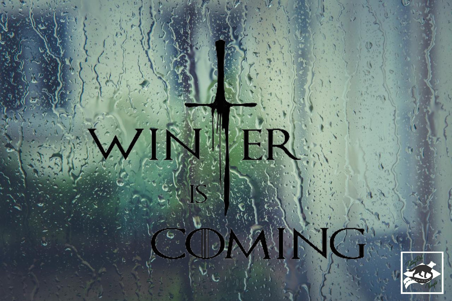 Winter is Coming Vinyl Decal Laptop Decal Car Decal Yeti - Etsy
