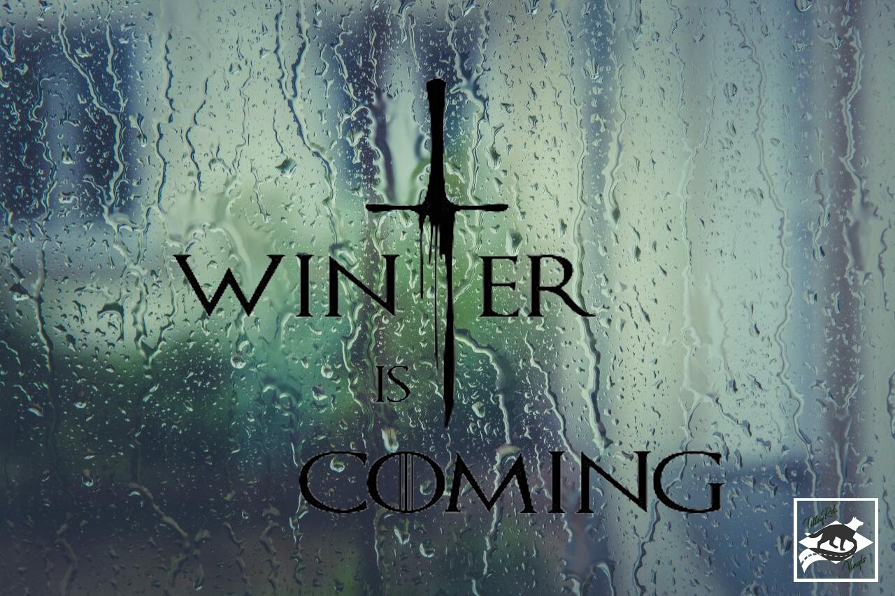 Winter is Coming Vinyl Decal Laptop Decal Car Decal Yeti - Etsy
