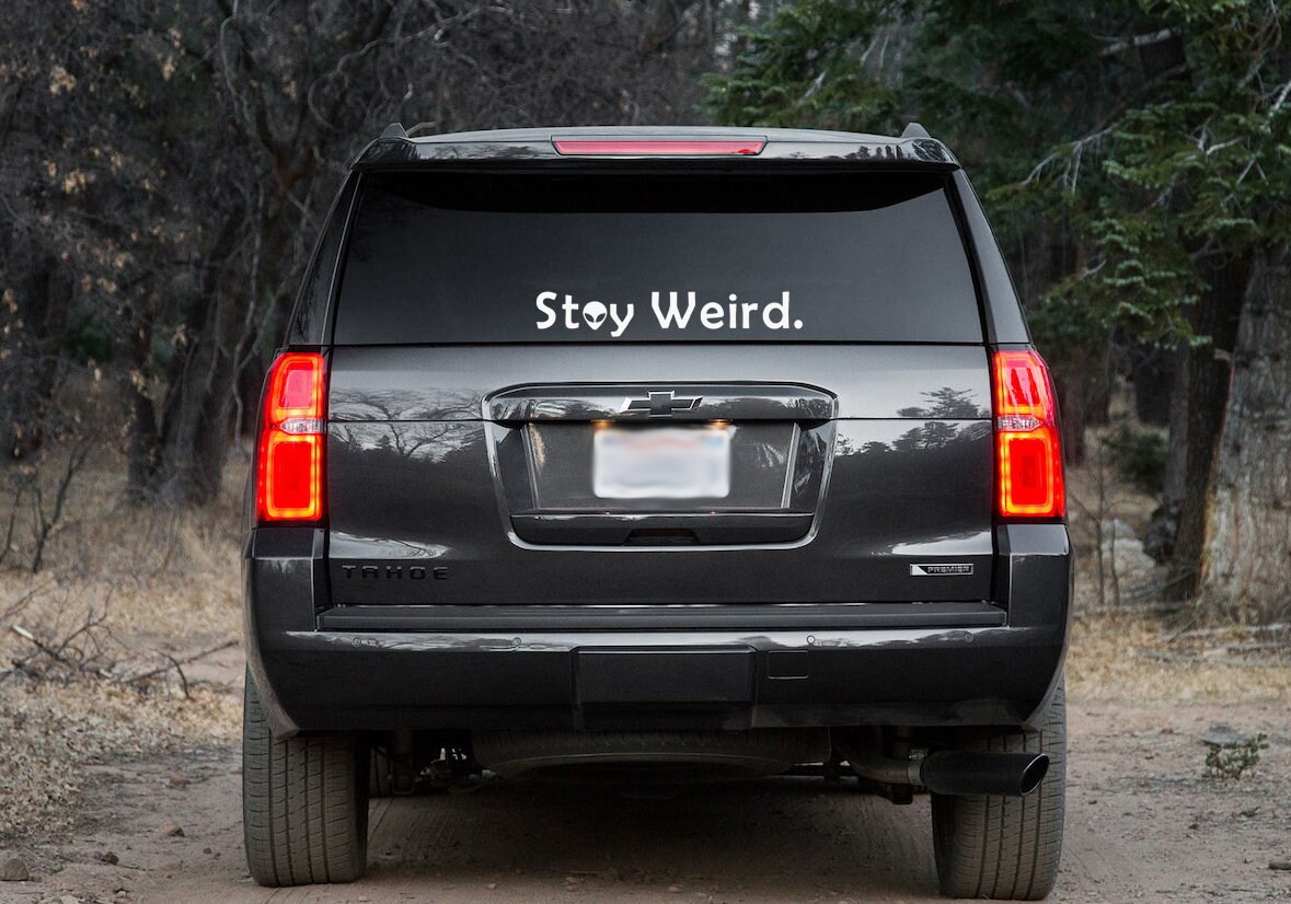 Stay Weird Vinyl Decal Alien Decal Car Decal Funny Car - Etsy