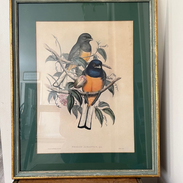 Lithograph Print - Etsy