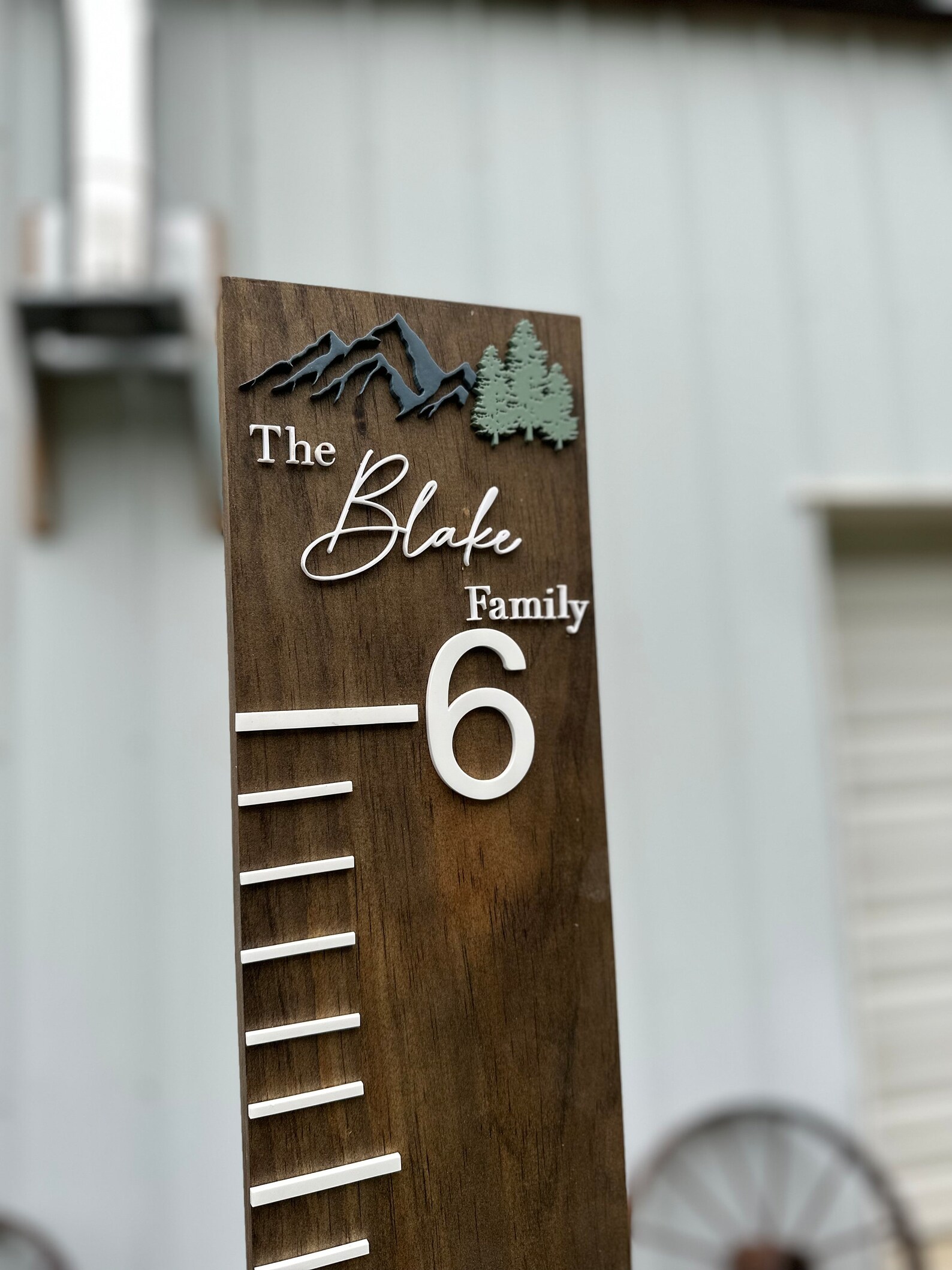 Personalized Family & Kids Growth Chart Large Ruler 3d Nursery Decor ...