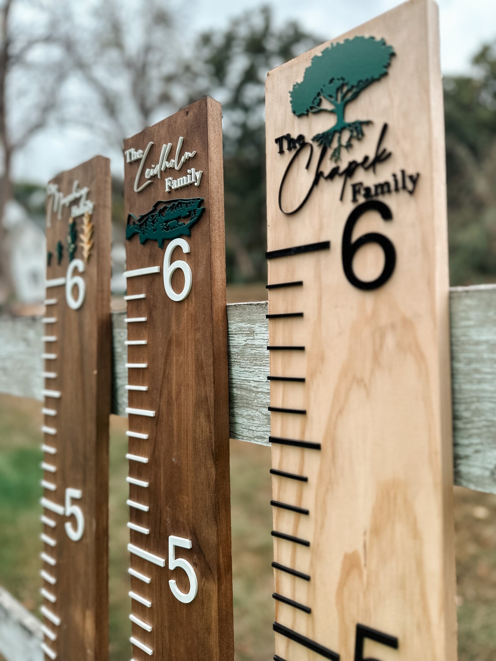 Personalized Family & Kids Growth Chart Large Ruler 3d Nursery Decor ...