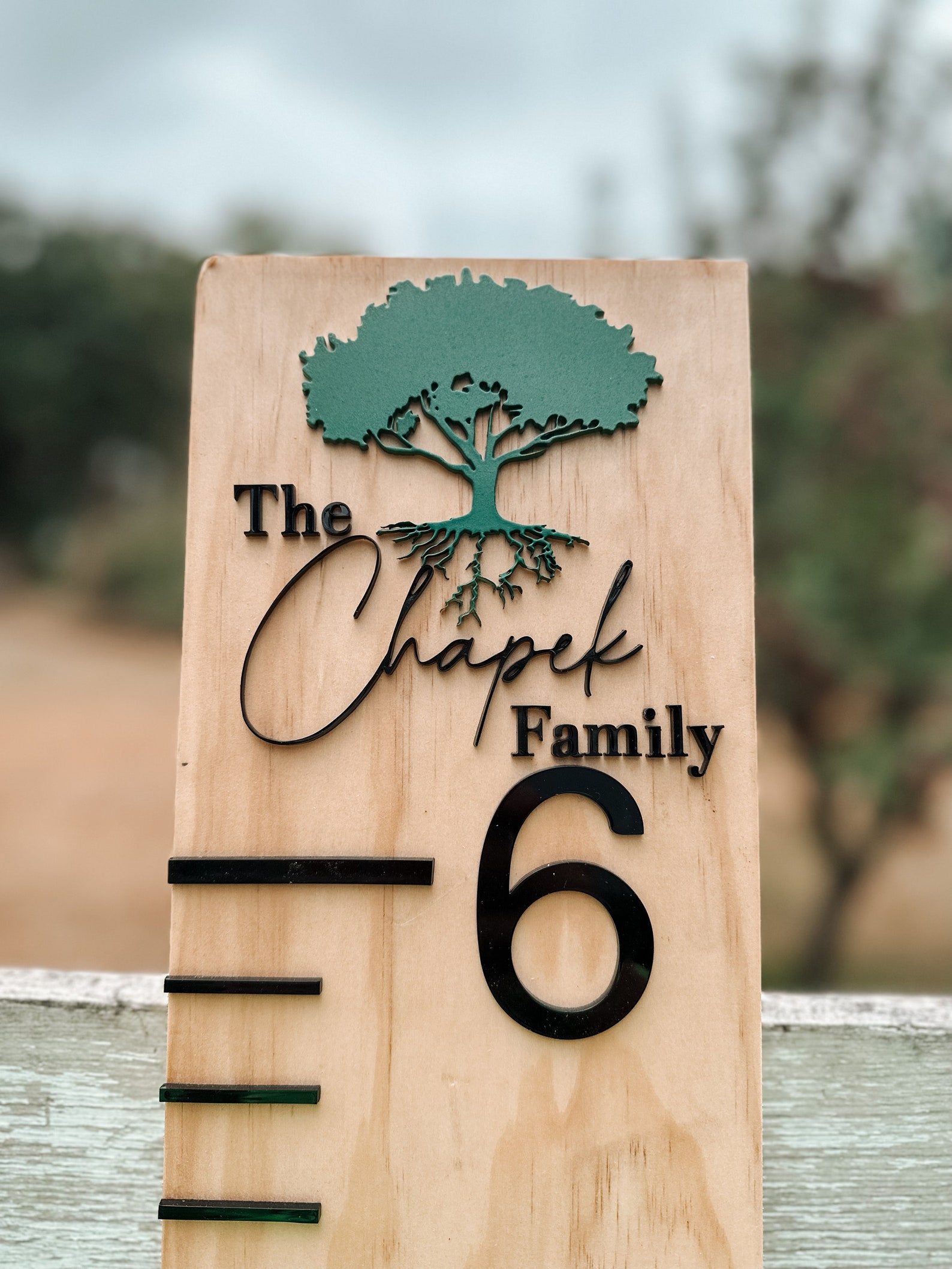 Personalized Family & Kids Growth Chart Large Ruler 3d Nursery Decor ...