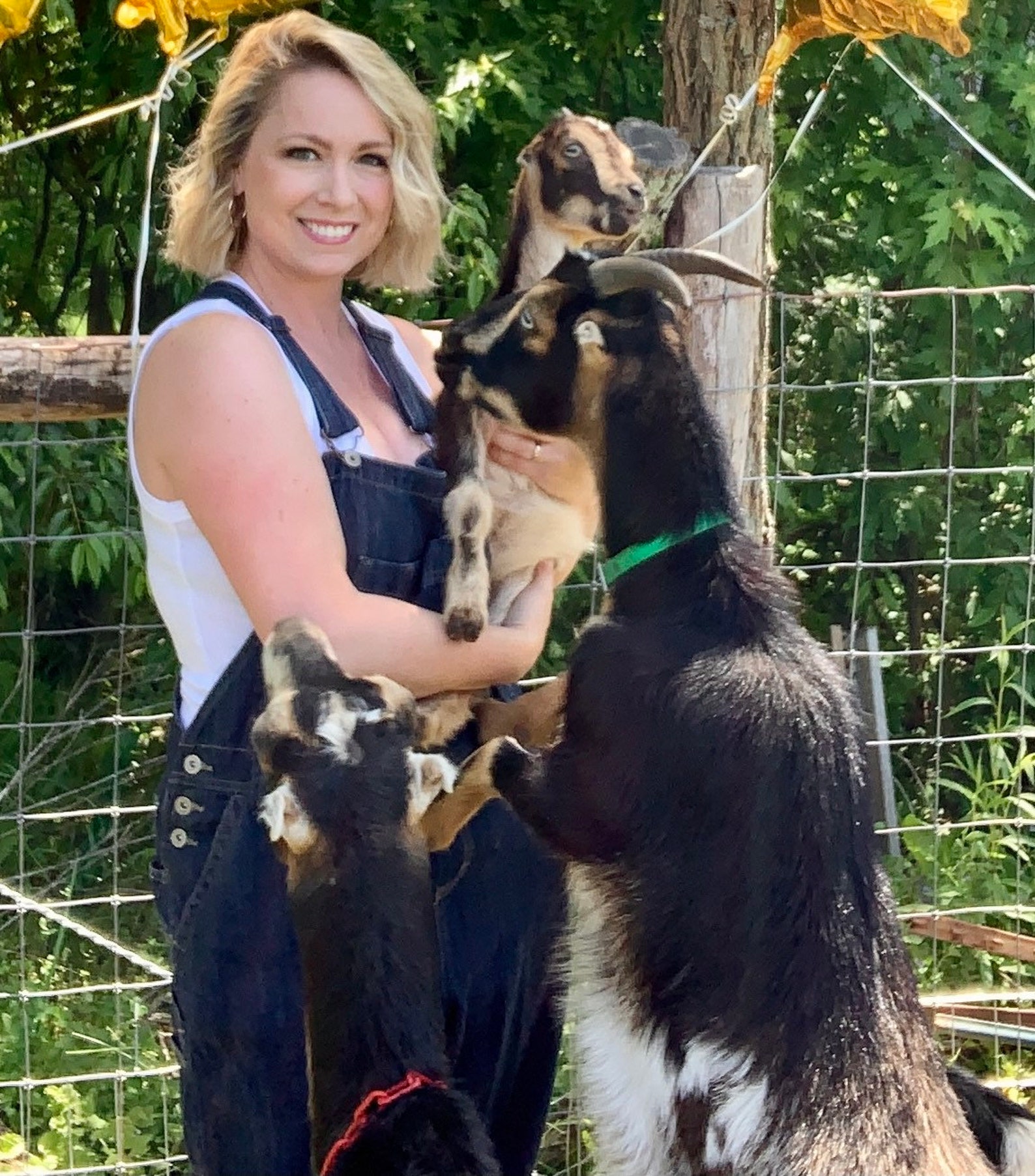 Farm Fresh Dish Soap Sustainable Living Plastic Free - Etsy