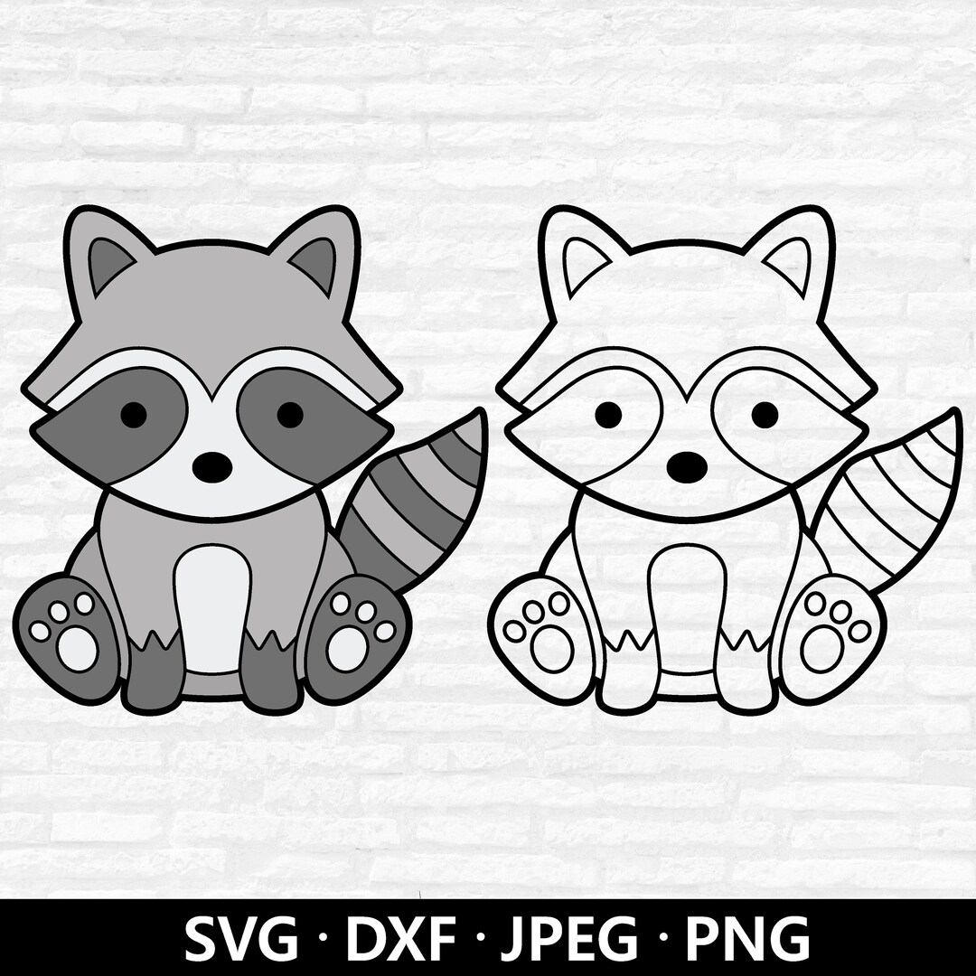 Cute Raccoon SVG, Woodland Animals Clipart, Baby Raccoon PNG, Raccoon ...
