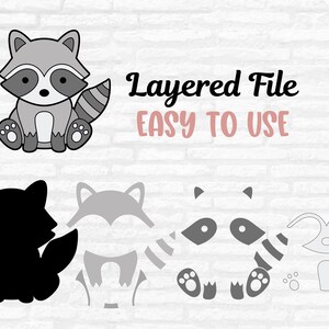Cute Raccoon SVG, Woodland Animals Clipart, Baby Raccoon PNG, Raccoon ...