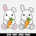 Bunny Carrot SVG, Easter Bunny With Carrot Vector, Kids Baby Rabbit ...