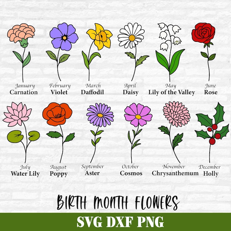Layered Birth Flower Svg - Etsy