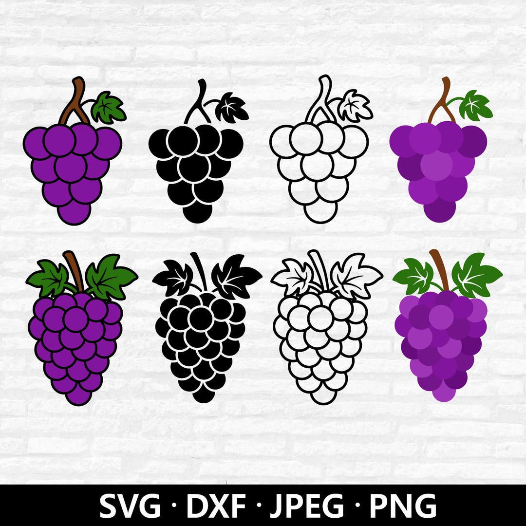 Grape SVG, Fruits Vector Line Art, Grape Leaves Bundle Files, Grapes ...