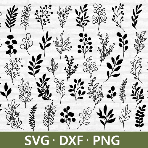 Leaves SVG Botanical Png Clipart Leaves Svg Bundle Greenery - Etsy