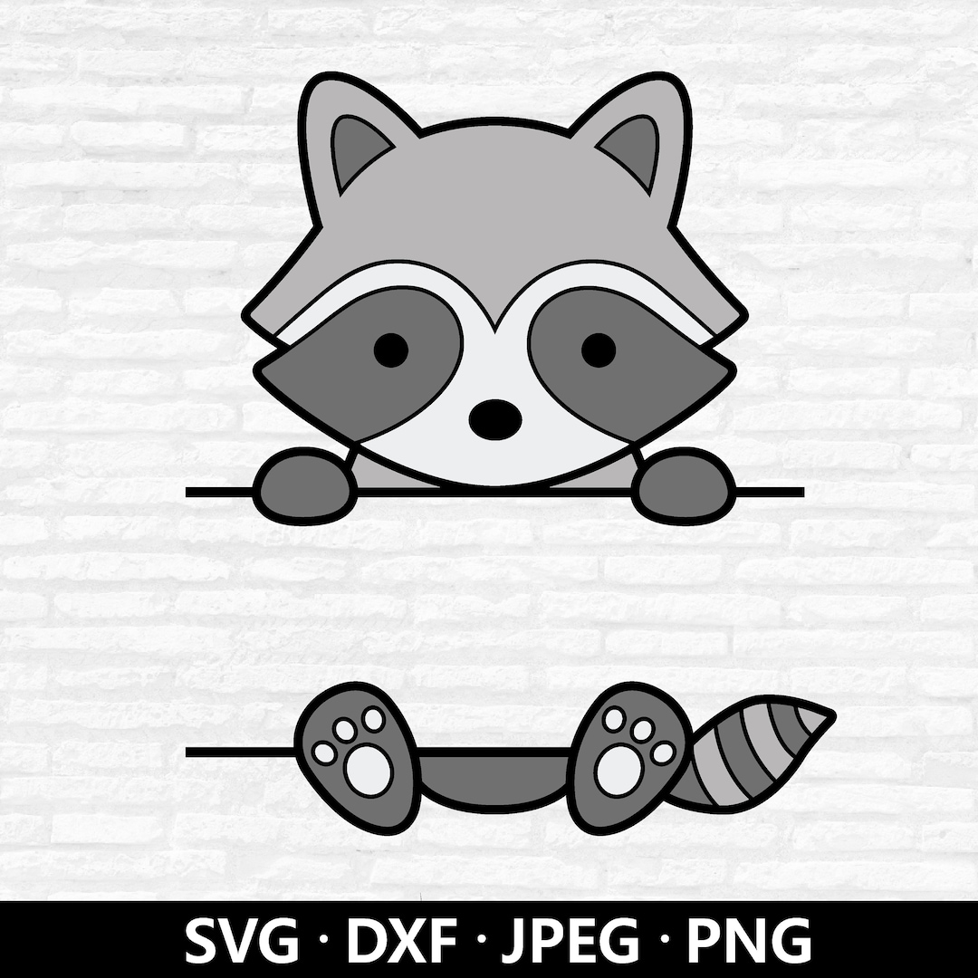 Raccoon Monogram SVG, Woodland Animals Name Frame Cut Files (digital ...