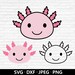 Axolotl Svgs File Pack! Instant Download! *highest Quality* Very Cute ...
