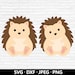 Hedgehog SVG, Cute Hedgehog Cut File, Woodland Animals SVG, Cute ...