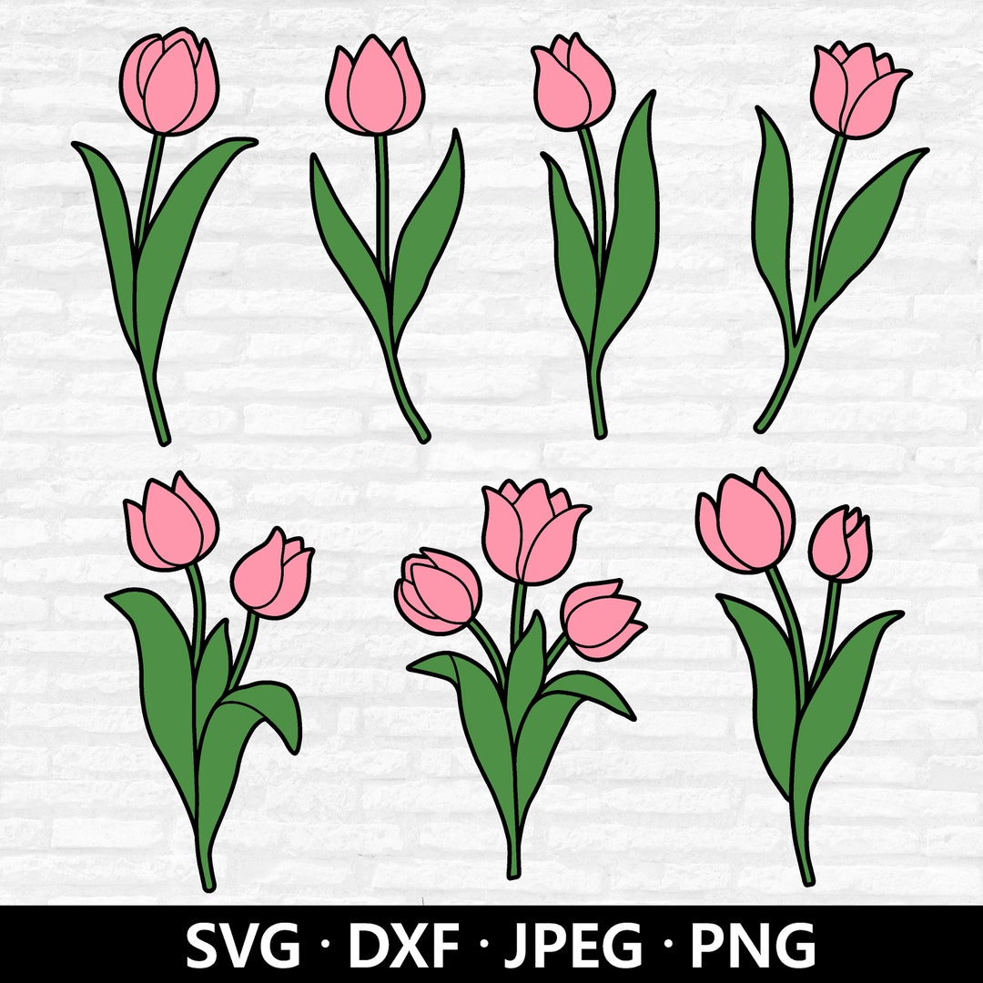 Tulip SVG Bundle, Tulips Vector, Spring Flower Dxf, Floral Tulip ...