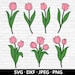 Tulip SVG Bundle, Tulips Vector, Spring Flower Dxf, Floral Tulip ...