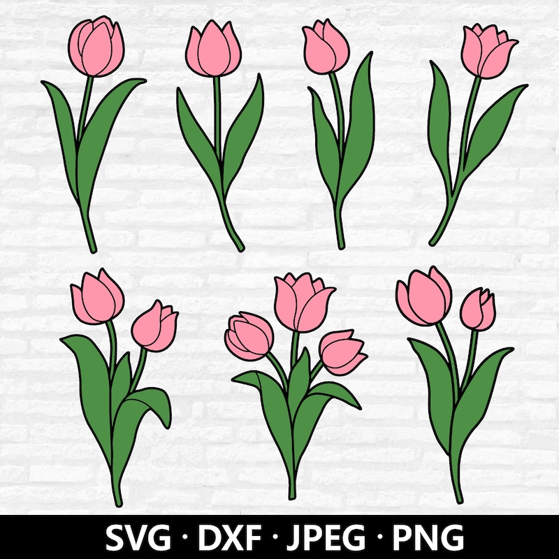 Tulip Svg - Etsy