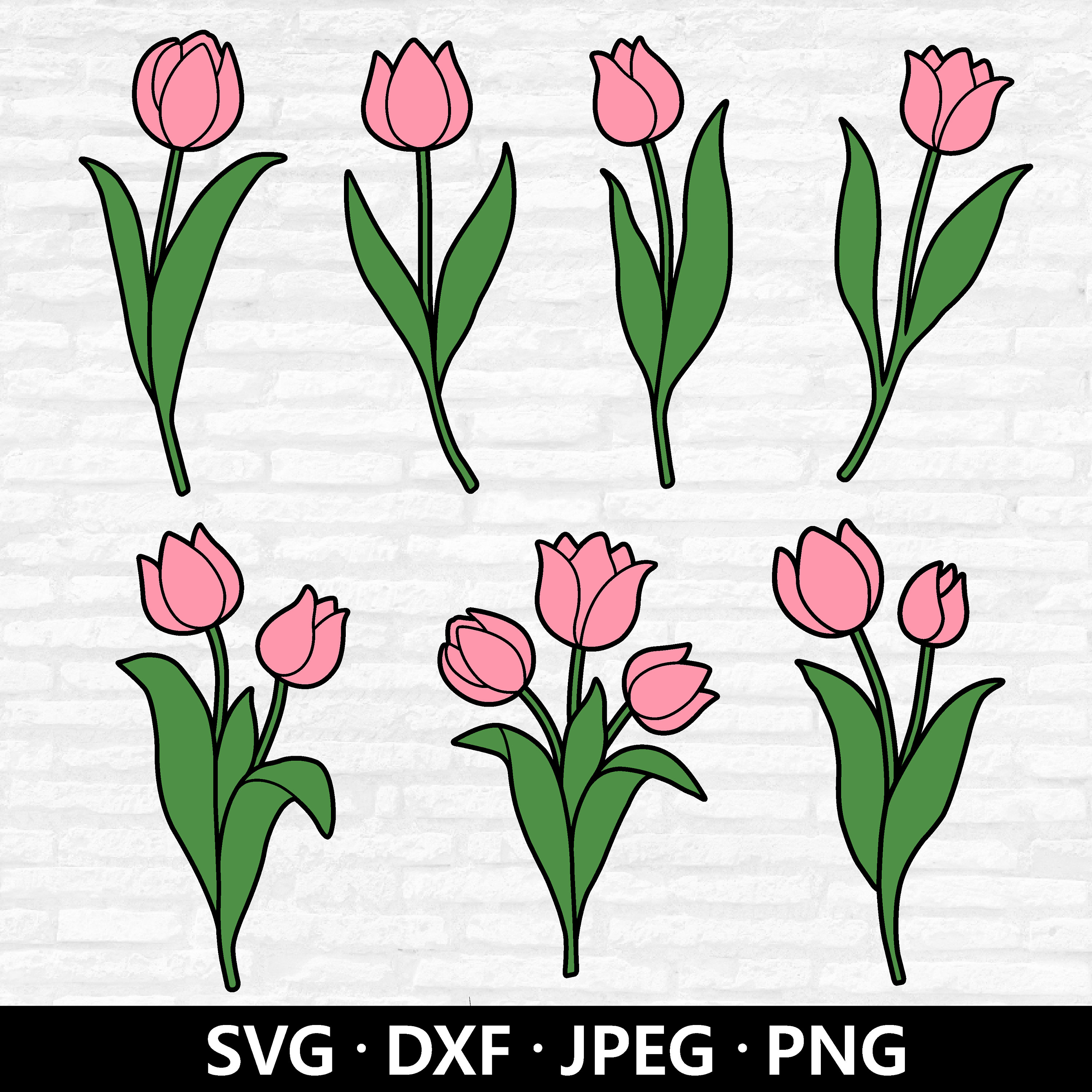 Tulip SVG Bundle: Spring Flower Clipart (digital Download) - Etsy