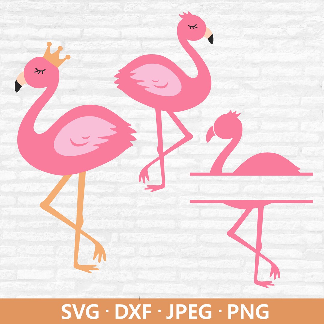 Flamingo Svg Bundle, Flamingo Clipart, Cute Animal Split Monogram PNG ...