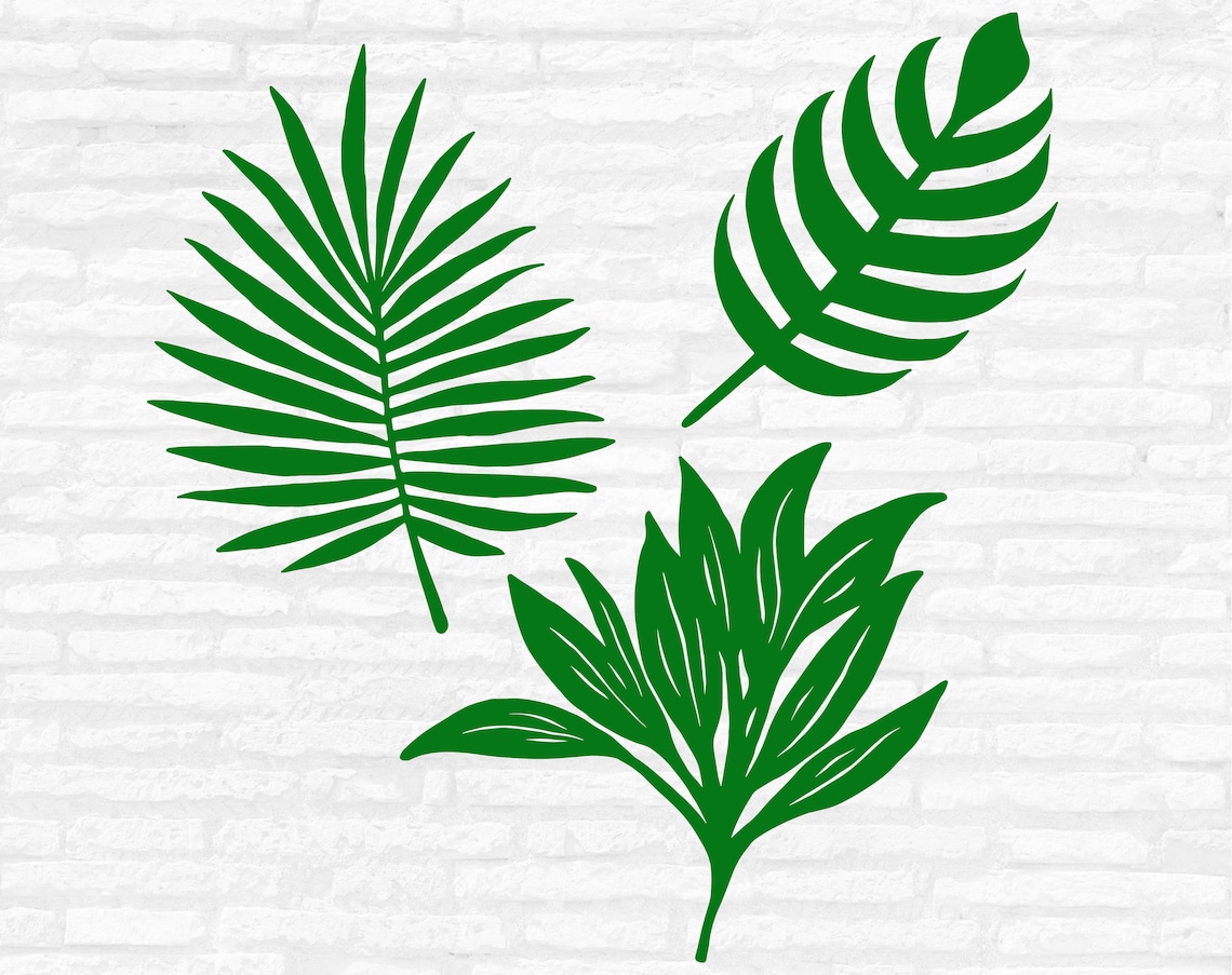 Tropical Leaves Svg Bundle Tropical Leaf Svg Palm Leaves - Etsy