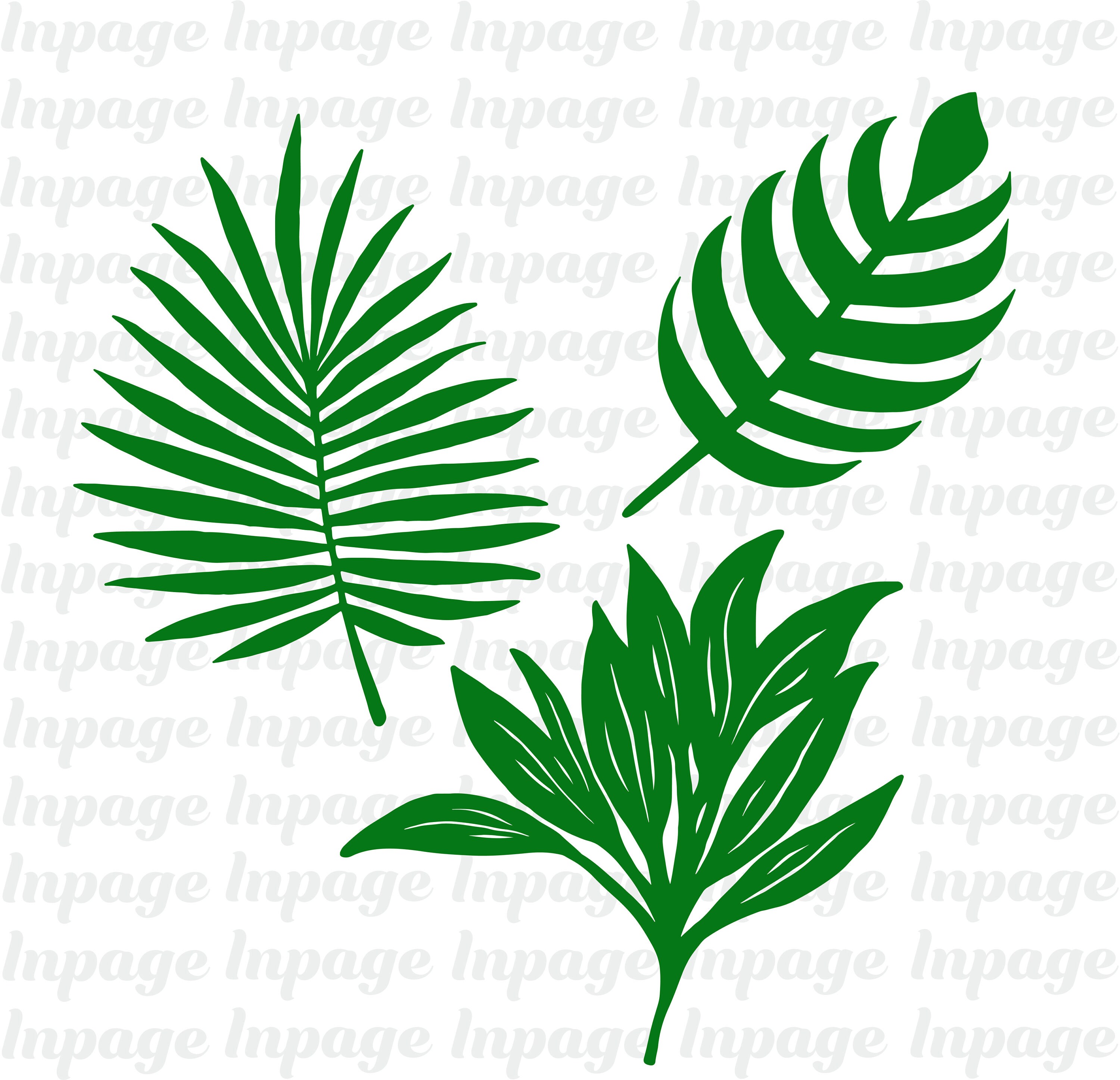 Hojas tropicales Svg Bundle Tropical Leaf Svg Palm Leaves | Etsy