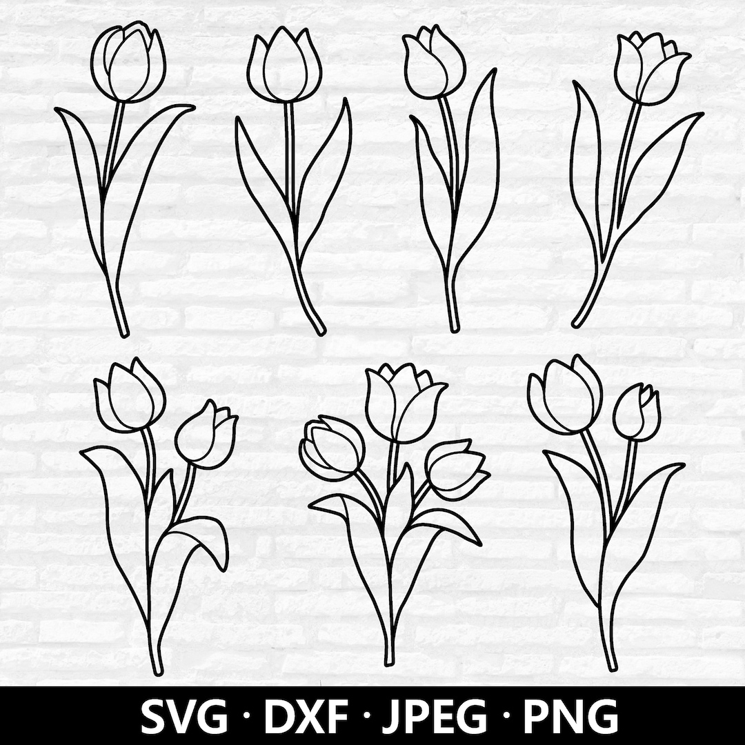 Tulip Outline SVG, Tulips SVG Bundle, Archivo de corte de flores de ...