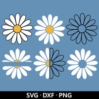 Daisy SVG File, Daisy DXF, Daisy Png, Daisy Flower Svg, Daisy Flower ...