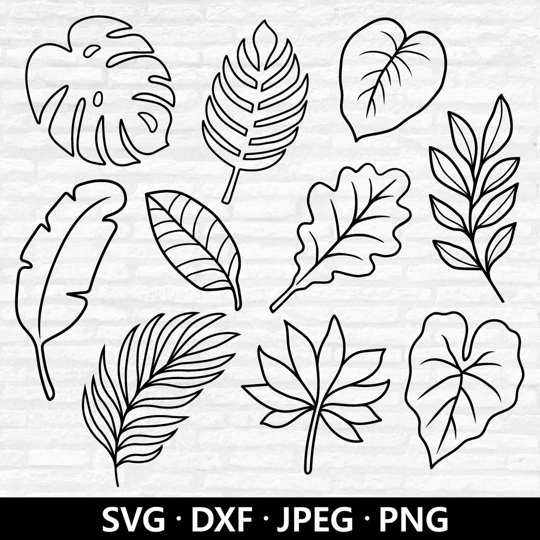 Tropical Leaf SVG Bundle: Palm & Monstera Outlines (digital Download) - Etsy