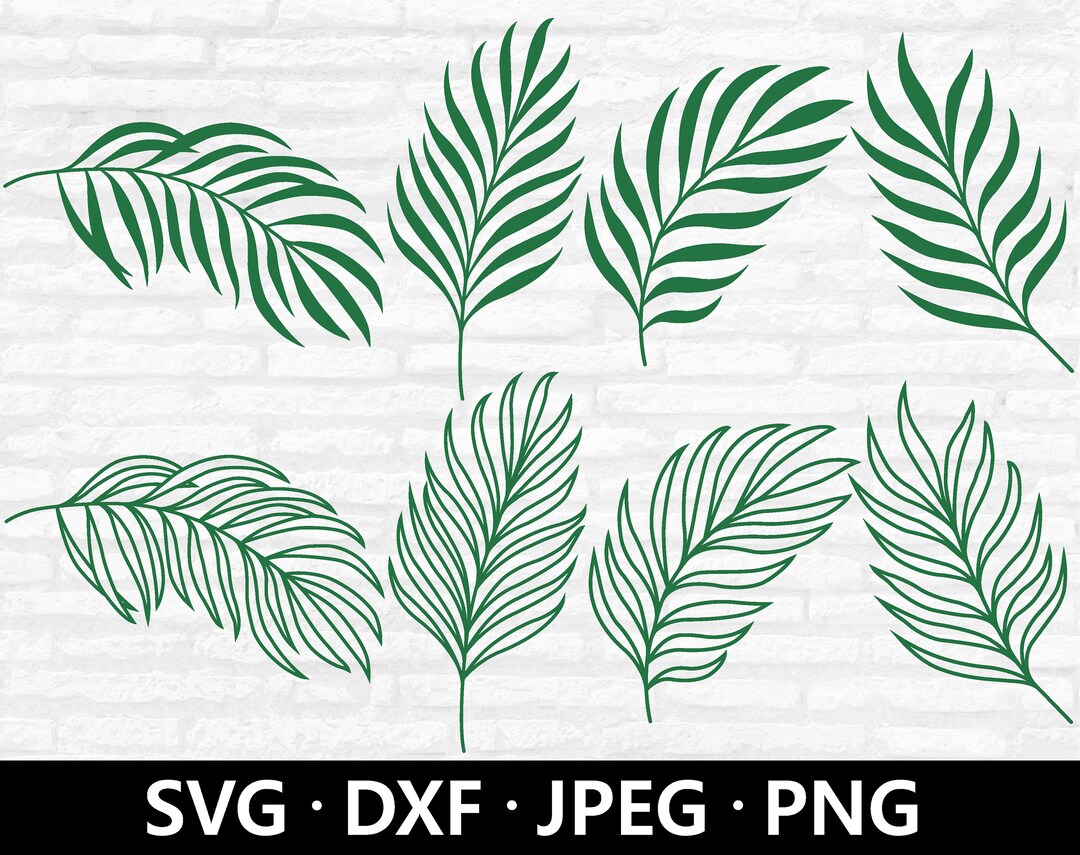 Palm Leaf SVG Tropical Leaves Cut File for Cricut Leaf SVG - Etsy
