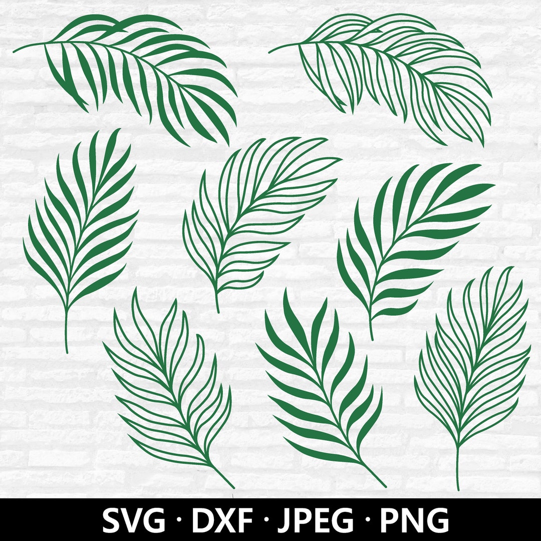 Palm Leaf SVG, Tropical Leaves Cut File for Cricut, Leaf SVG Bundle ...