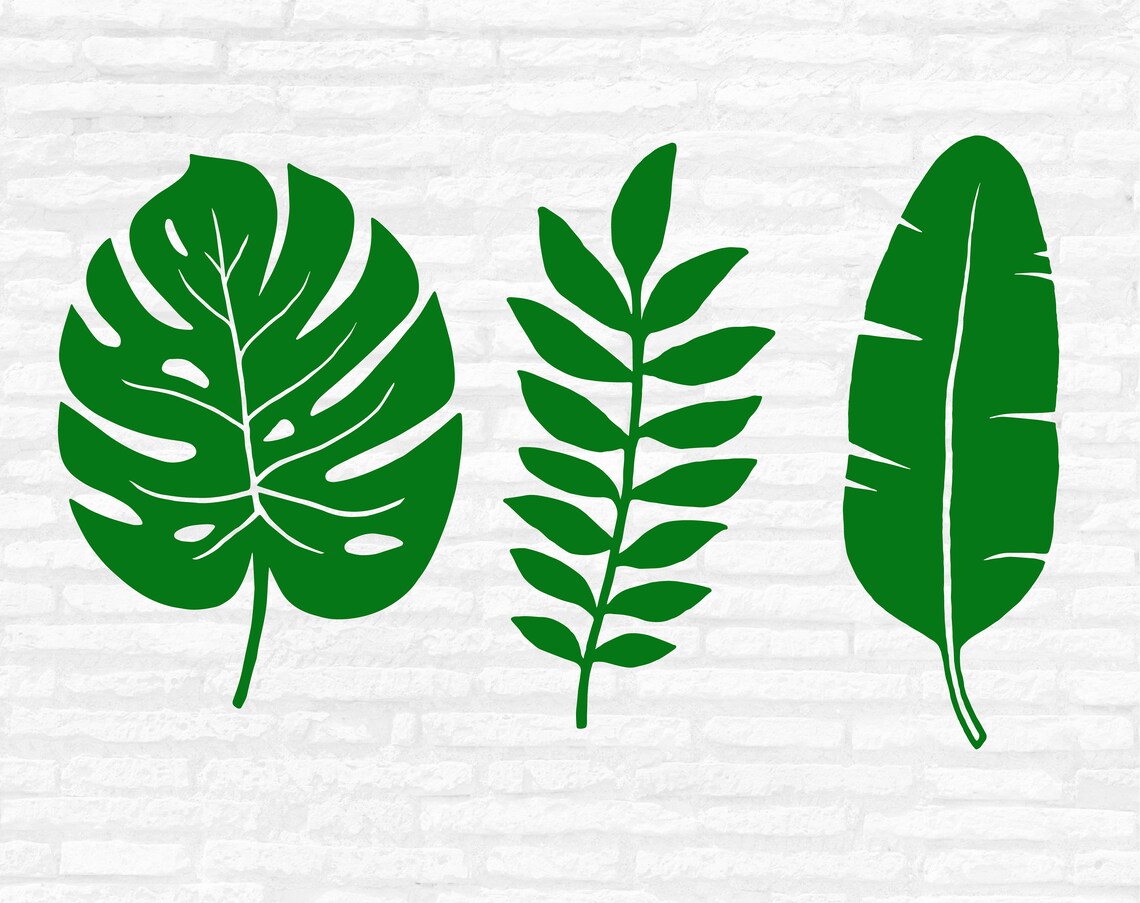 Tropical Leaves Svg Bundle Tropical Leaf Svg Palm Leaves - Etsy
