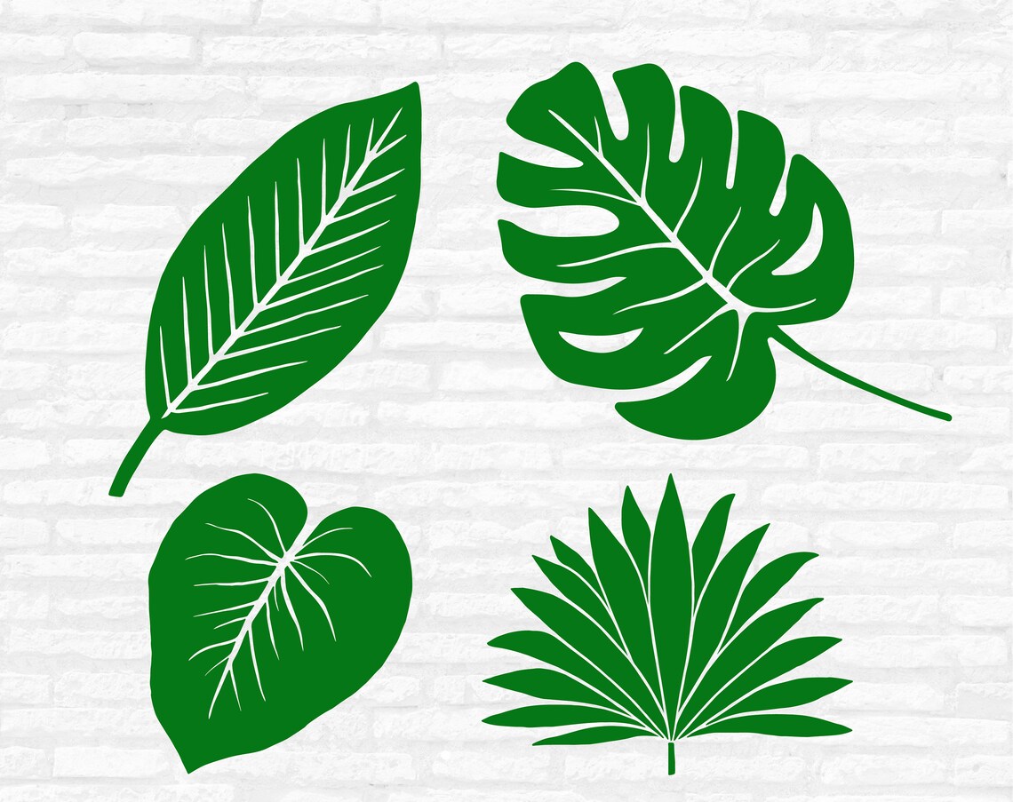 Tropical Leaves Svg Bundle Tropical Leaf Svg Palm Leaves - Etsy