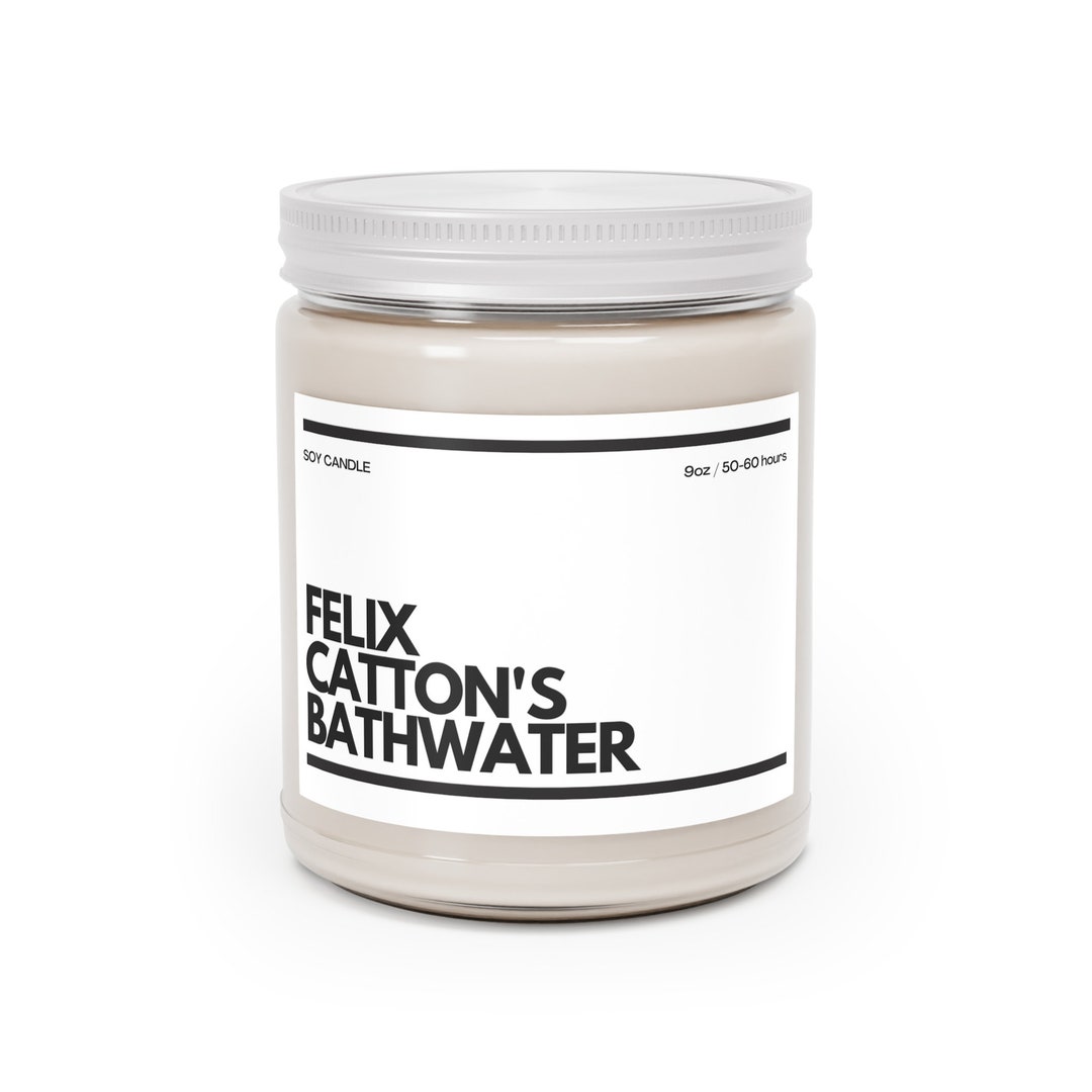 Felix Catton's Bathwater Saltburn Soy Candle 9oz Vanilla/comfort Spice ...