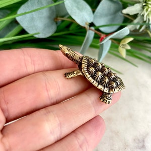 Solid Brass Snapping Turtle Figurine Alligator Turtle Statue - Etsy