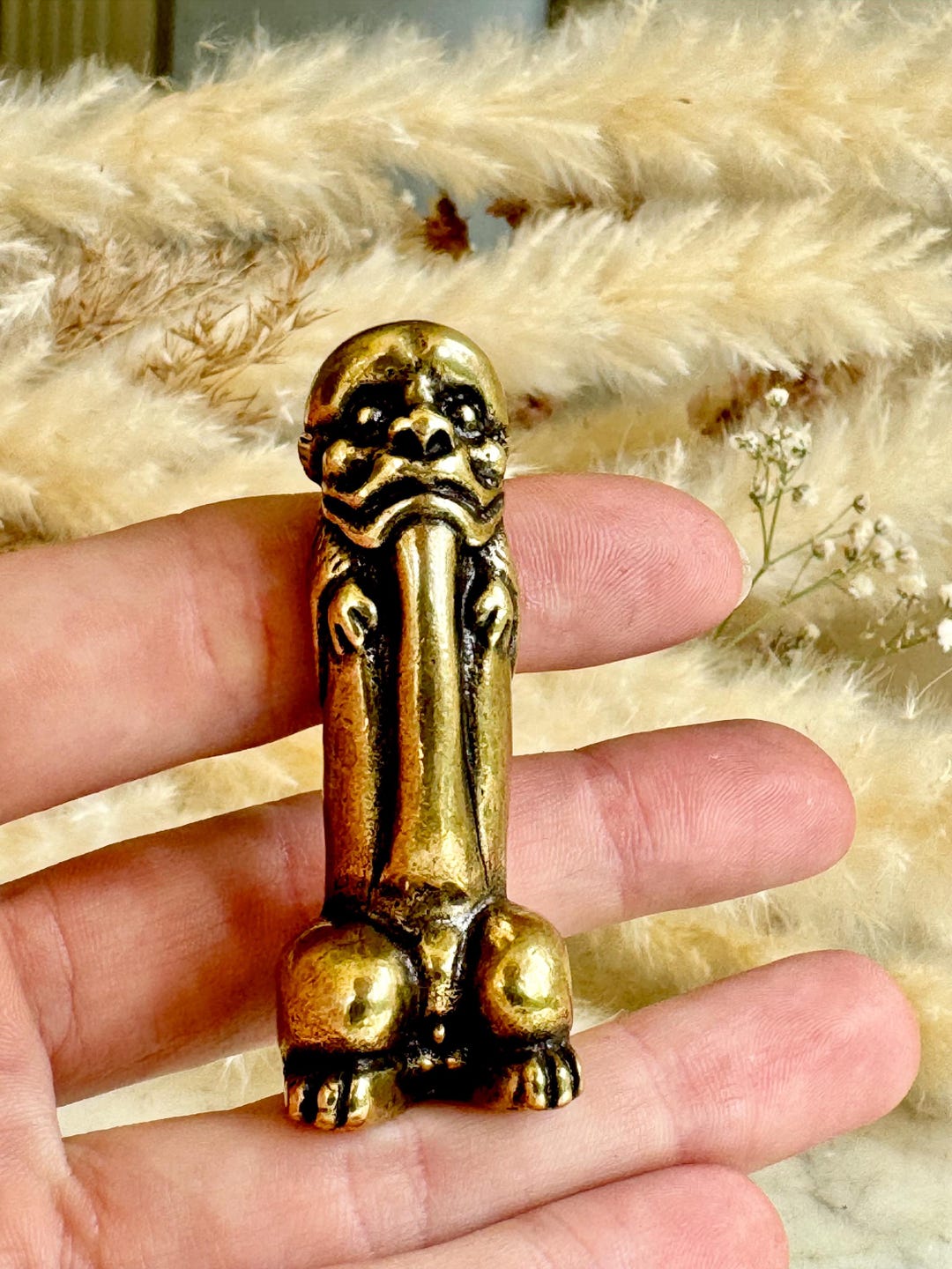 Solid Brass Wise Elf Willy Penis Ornament, Hen Stag Adult Toy Gift ...