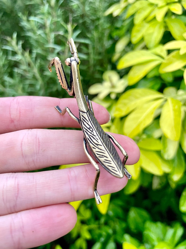 Fine Lifelike Solid Brass Praying Mantis Statue Metal Pen - Etsy